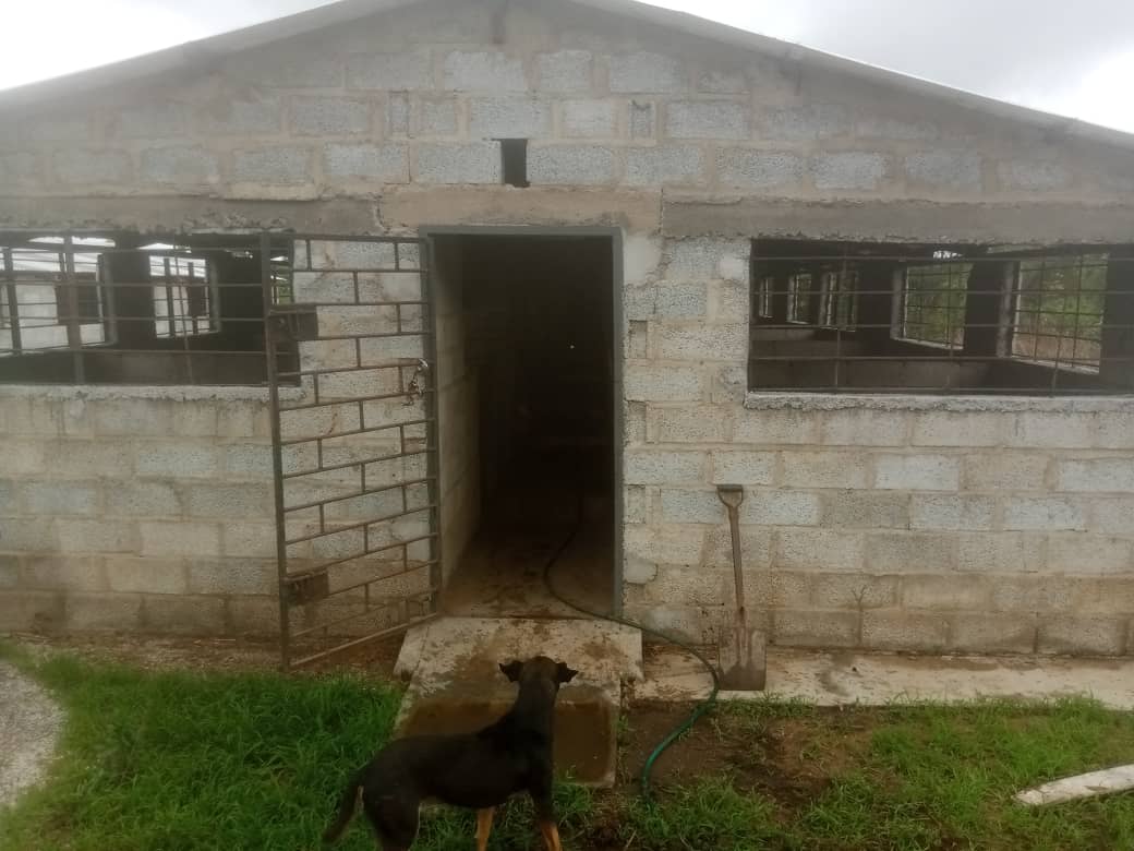 Real Estate Listings in Zambia | Buy, Sell, Rent Properties